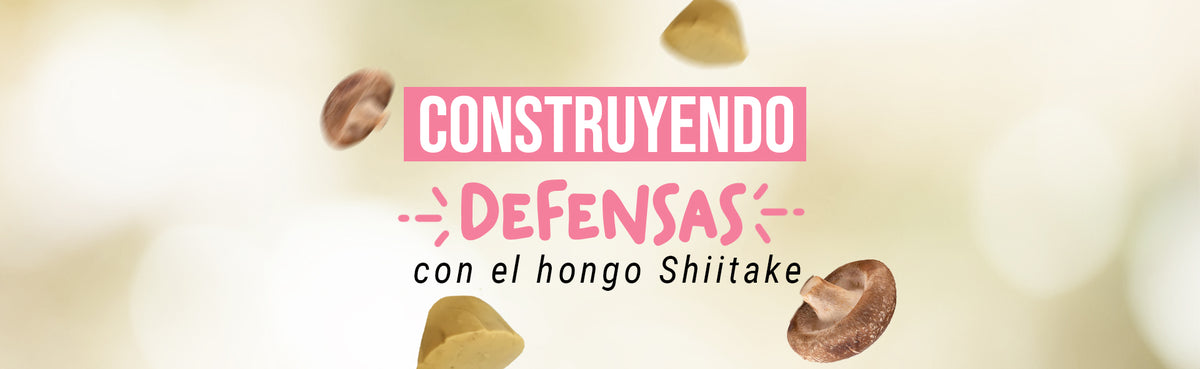 Fortalece tu Inmunidad con Hongo Shiitake - NewPharma