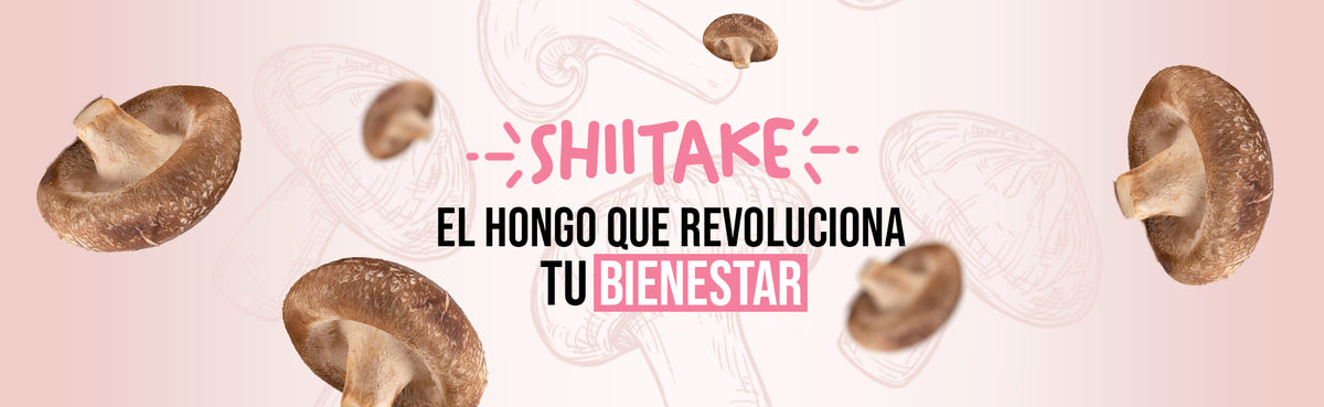 Explora el Mundo del Hongo Shiitake | NewPharma