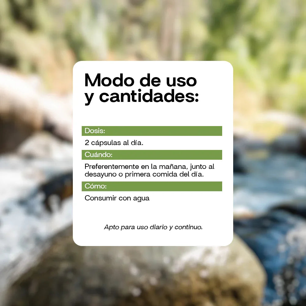 Fungi Complex de NewPharma | Cápsulas con 7 Hongos Funcionales